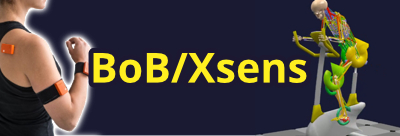 BoB (Biomechanics of Bodies) | 筋骨格モデル バイオメカニカル モデリング | 海外ソフトウェアの購入なら ...