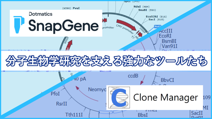 Clone Manager | 分子生物学 遺伝子研究 データ 管理 分析 ソフトウェア | 海外ソフトウェアの購入ならUNIPOS(ユニポス)
