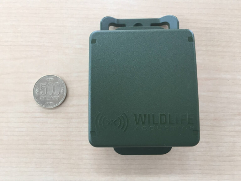Song Meter Bird Recorders (Micro 2/Mini 2/SM4/SM5) – Wildlife Acoustics ...